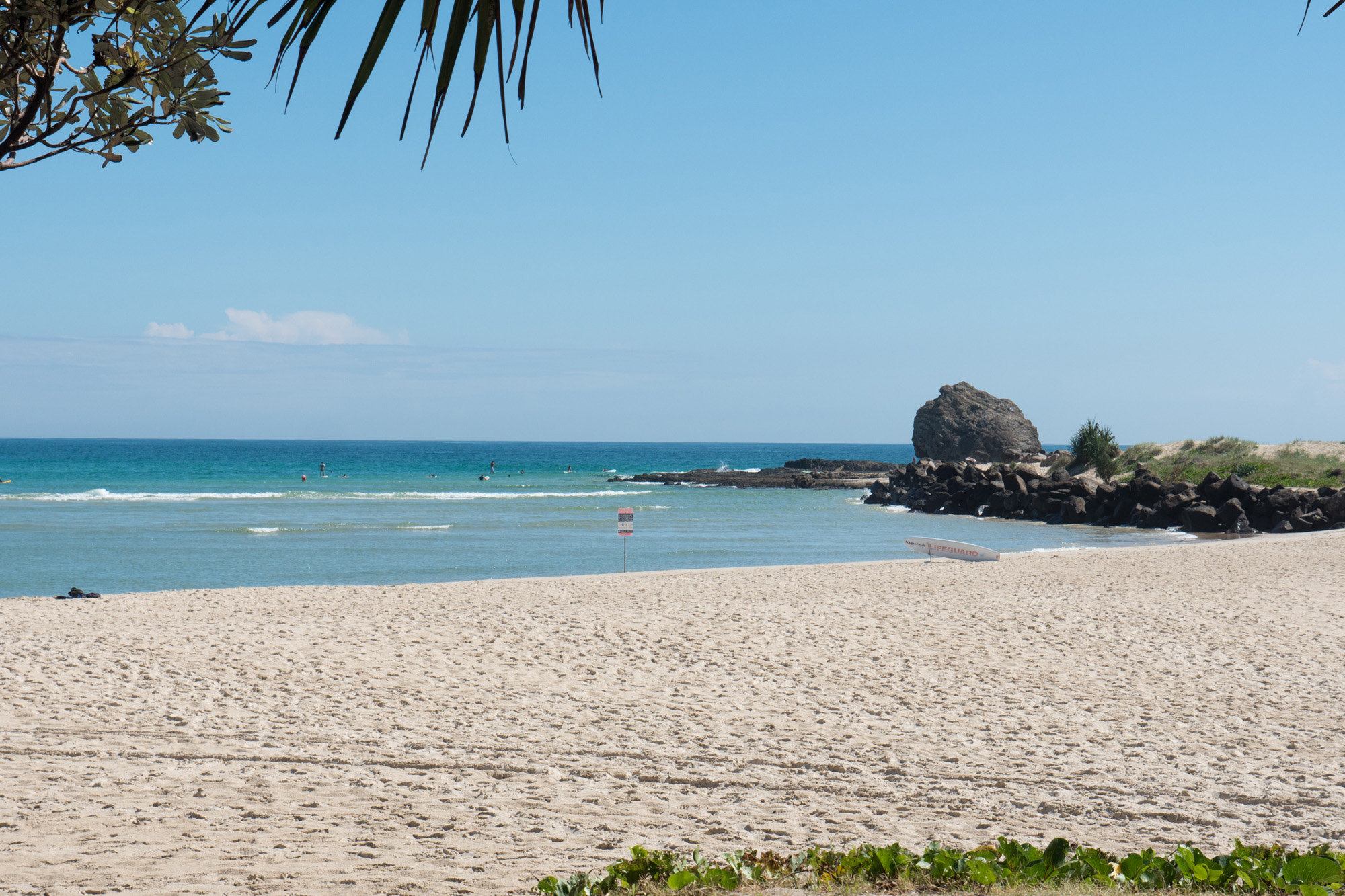 The Best Kids Playground on the Coast - Princess Palm